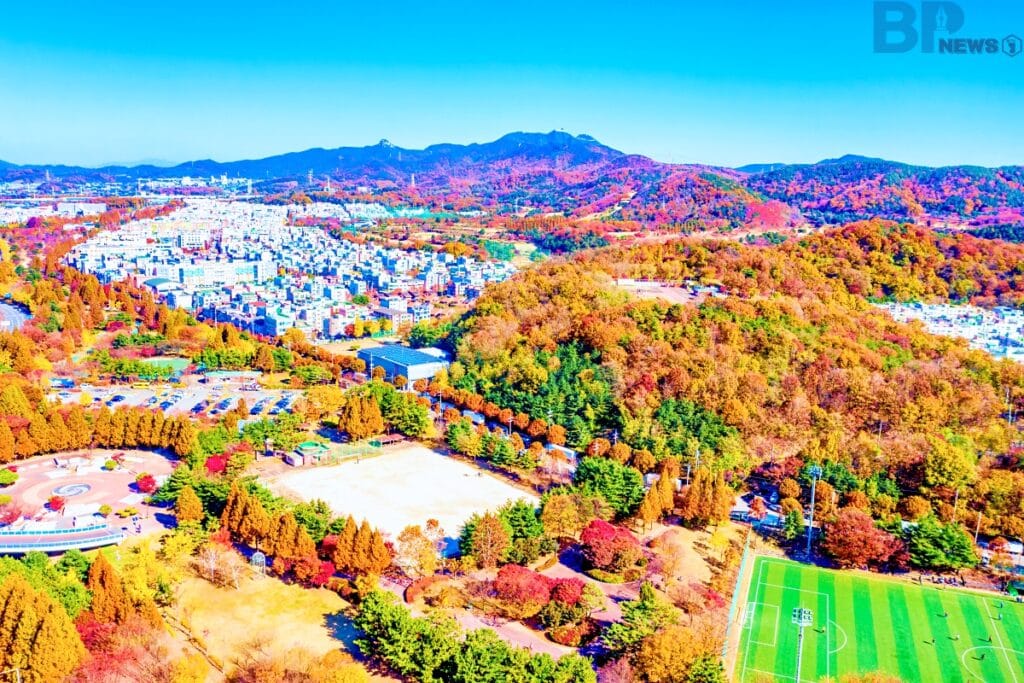 도로 양 옆에 단풍이 쫙 드라이브로 떠나기 좋은 공원 여행지 2곳