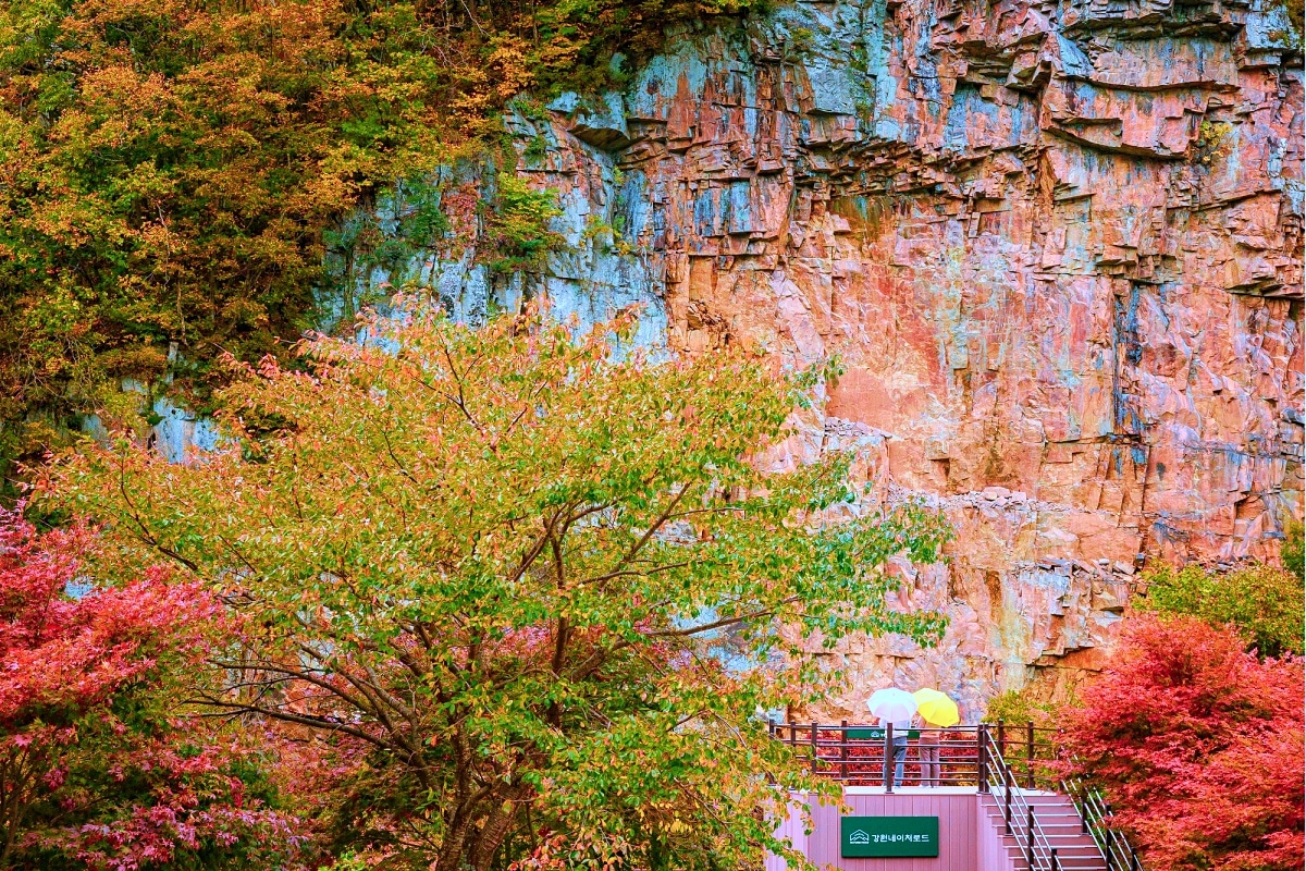"소름이 쫙"... 아는 사람들만 몰래 찾아오는 '숨은 자연명소' 2곳