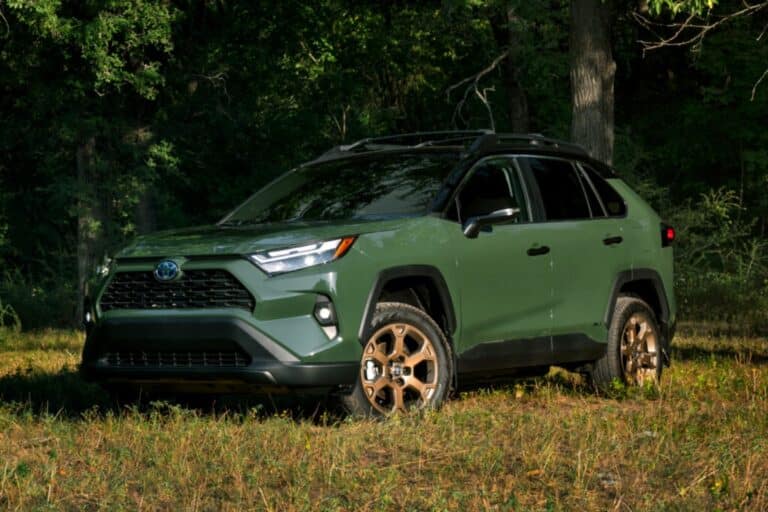 새 디자인 소식에 시장 '후끈', "역시 1등은 다르네"... 대체 무슨 차길래