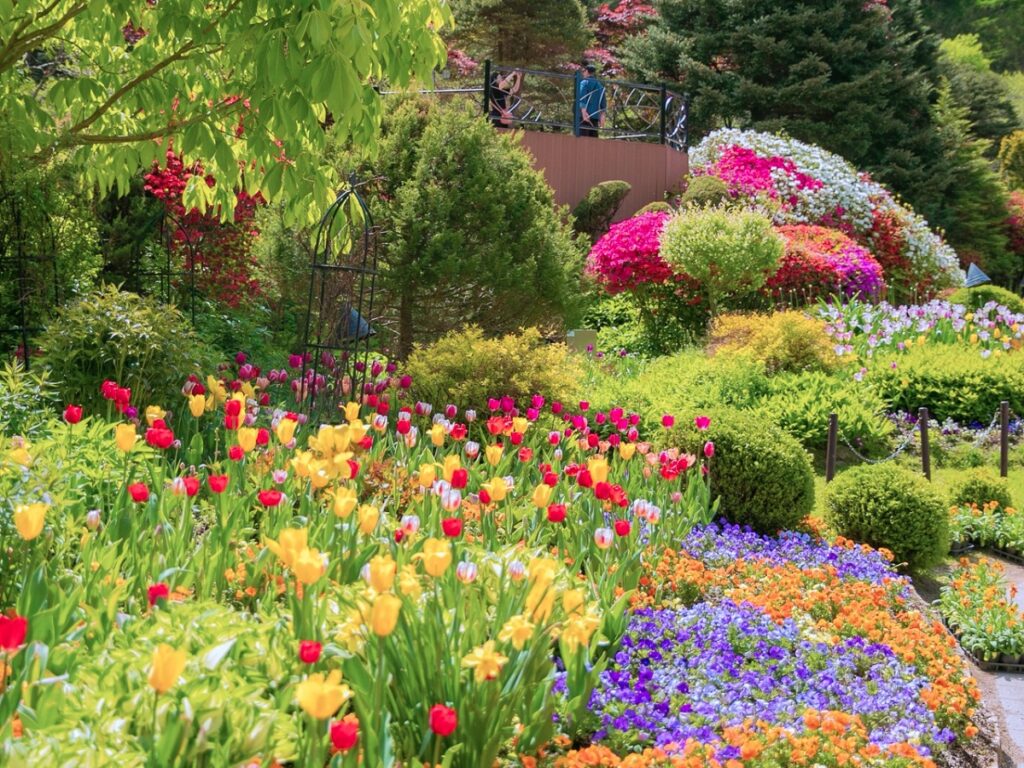 "5월엔 튤립, 6월엔 수국"… 튤립 끝나면 수국 시작되는 서울 근교 꽃 명소