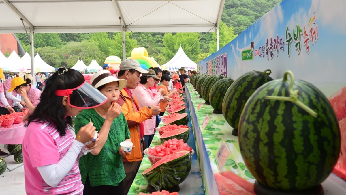 “마트보다 싼데, 더 달다”… 복분자•수박•장어 저렴하게 즐기는 6월 미식축제