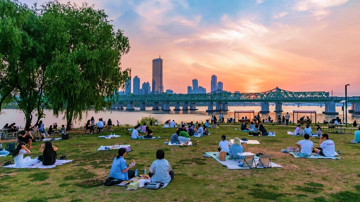 돈 안 쓰고 하루 보내기 딱 좋다… 돗자리 들고 떠나는 서울 도심 속 힐링명소